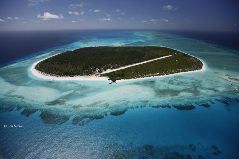 French Southern and Antartic Lands (TAAF) | OCTA