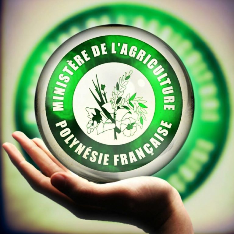 Lycée Agricole D Opunohu Octa