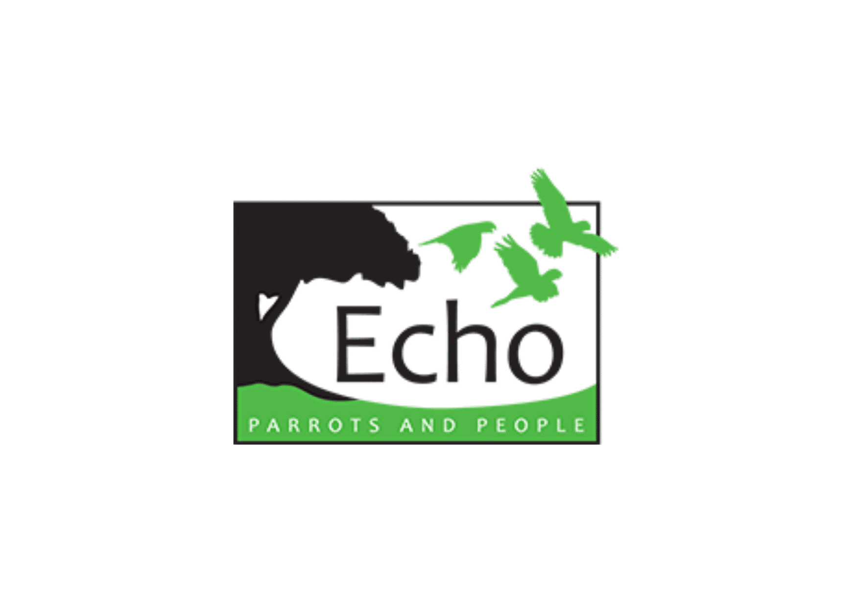 Echo Logo European